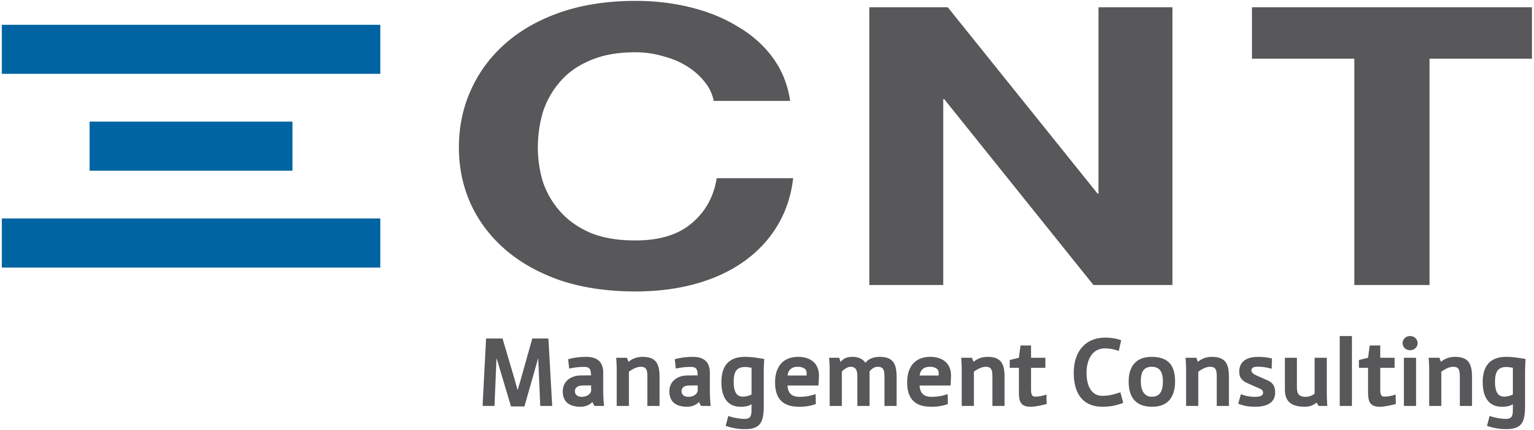 CNT Management Consulting | SAP Concur